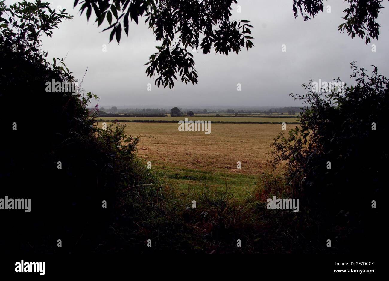 Kellys hi-res stock photography and images - Alamy
