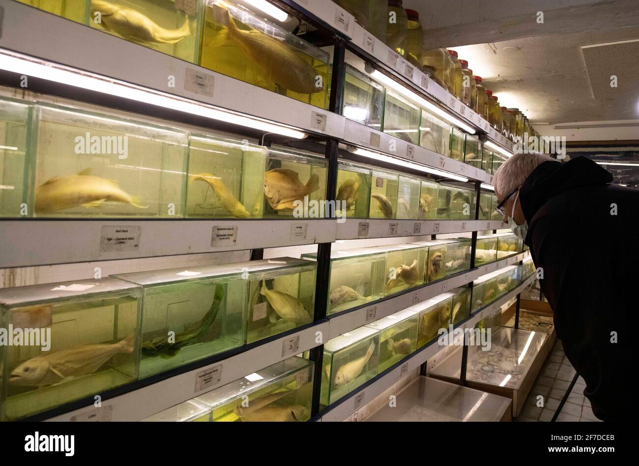 Fish exhibits hi-res stock photography and images - Alamy