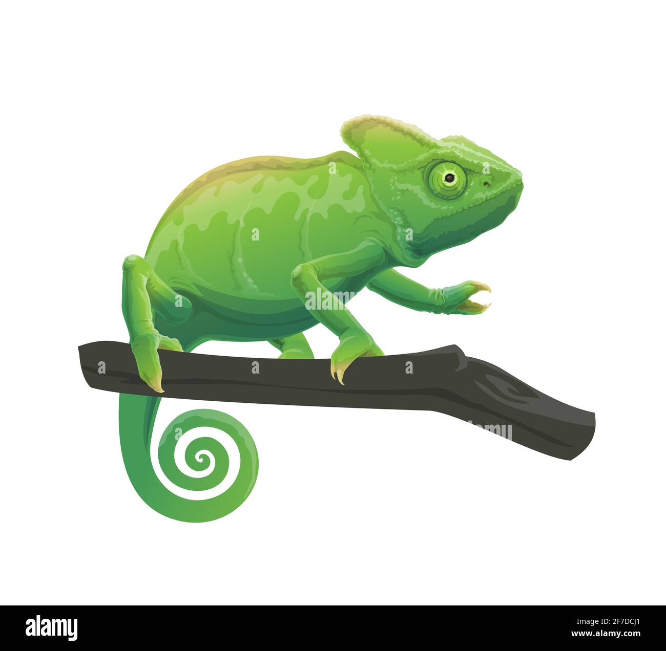 Chameleon Lizard Cartoon Clipart