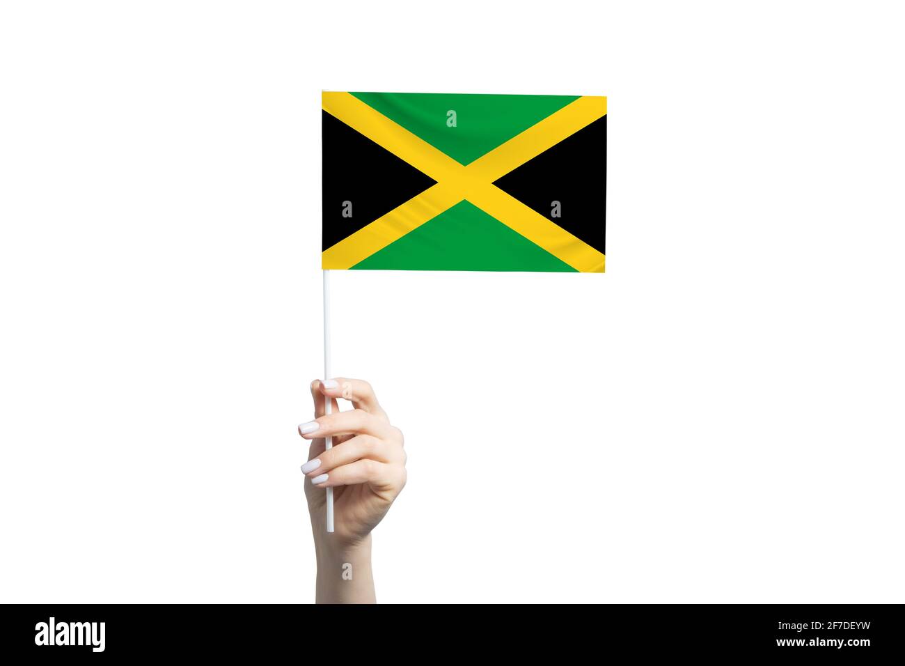 Beautiful female hand holding Jamaica flag, isolated on white ...