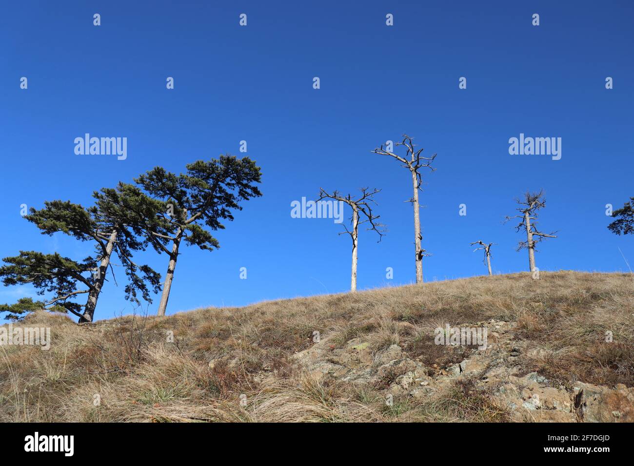 Interesting shapes hi-res stock photography and images - Alamy