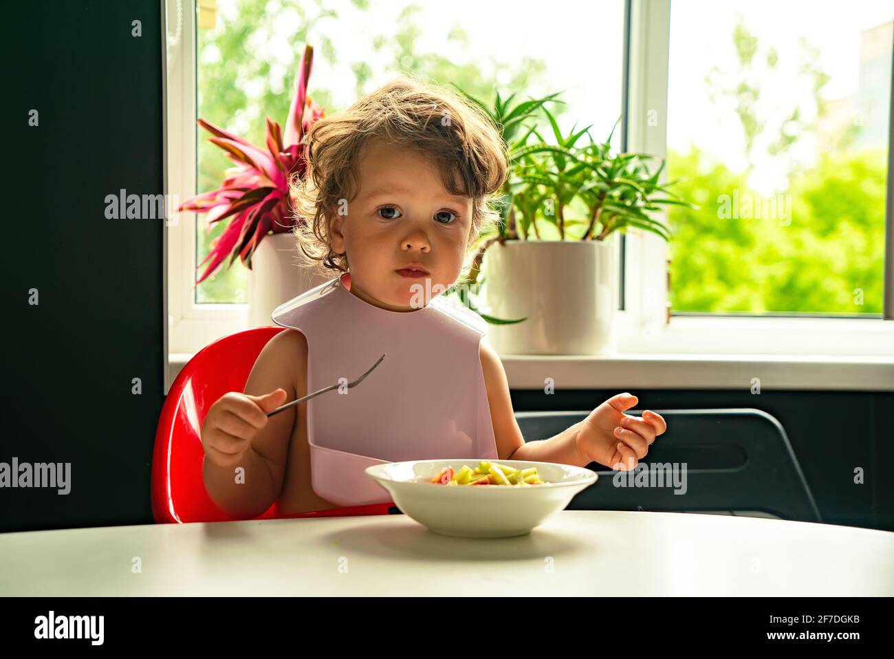Portrait of a little child sitting with a plate of food at the table in ...
