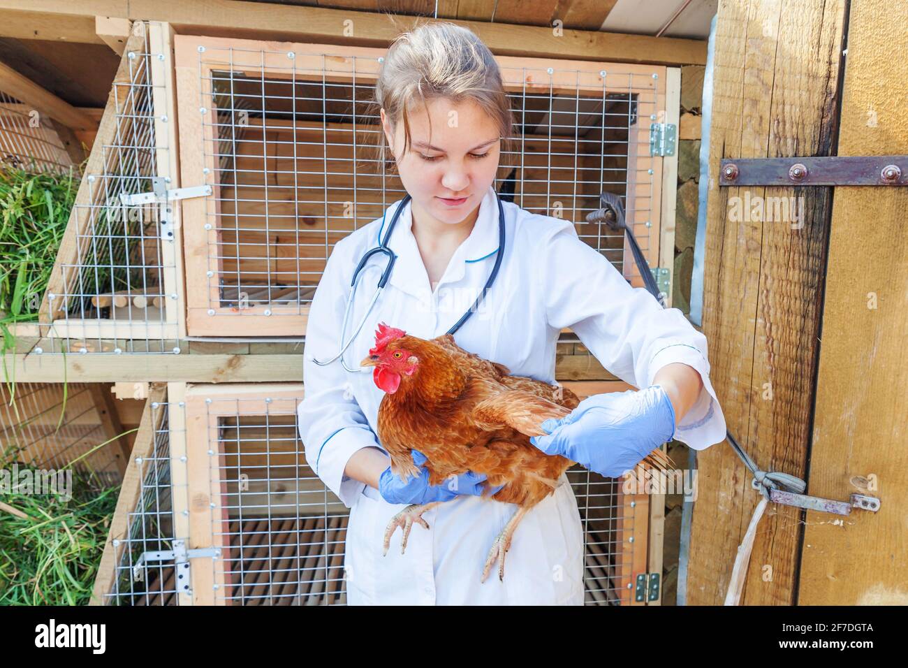 Happy young veterinarian woman with stethoscope holding and examining ...
