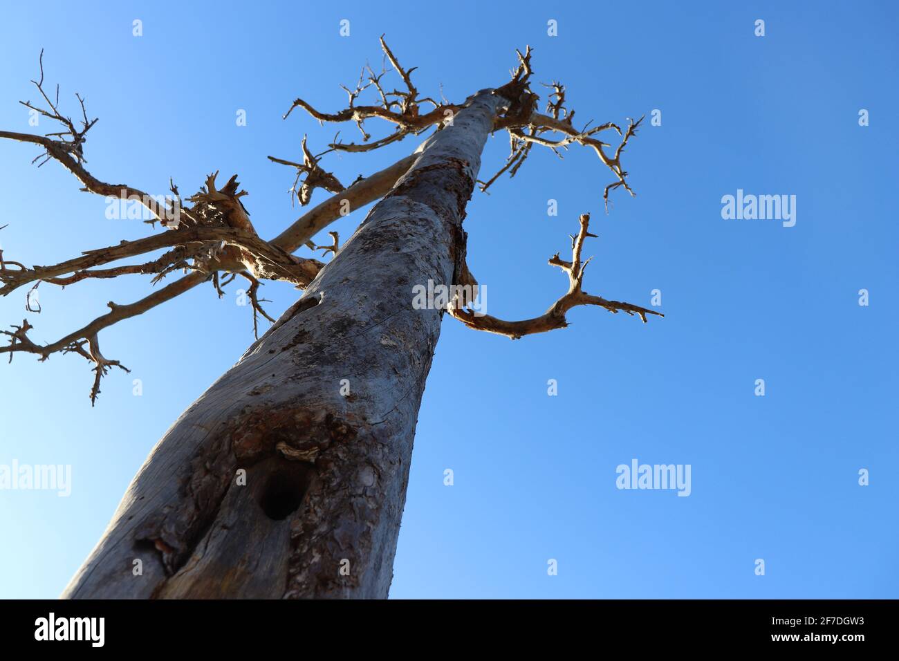 Interesting shapes hi-res stock photography and images - Alamy