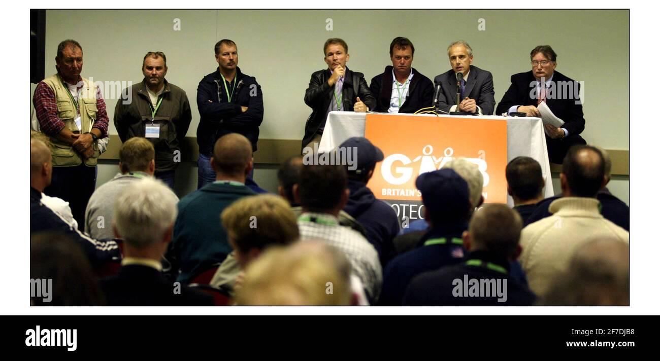 Stadium brighton Cut Out Stock Images & Pictures - Alamy