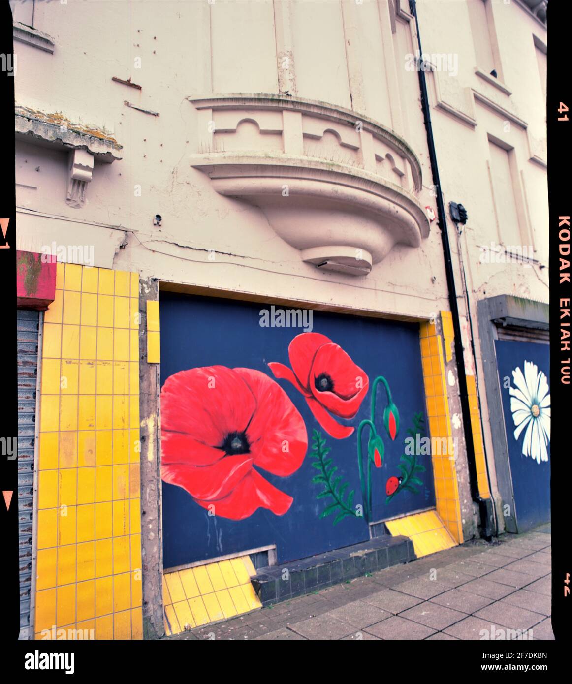 Queens parade Bangor Co Down NI Medium format film street photography ...