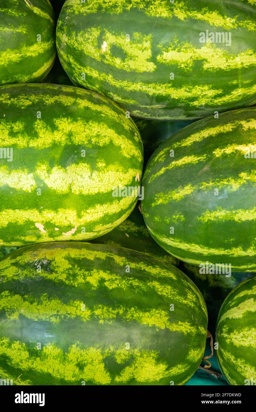 Big watermelons hi-res stock photography and images - Alamy