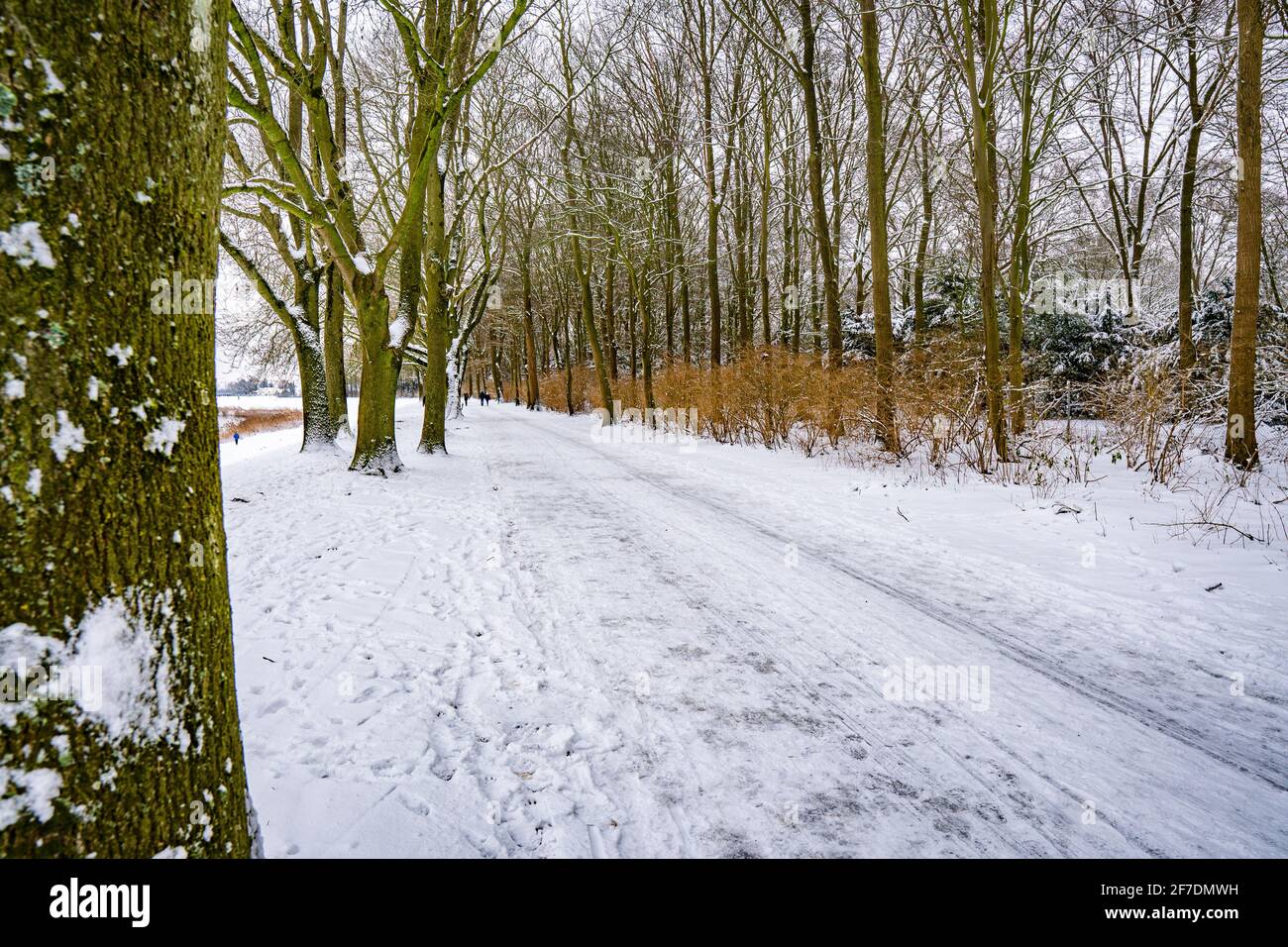 Snowy walkway hi-res stock photography and images - Alamy