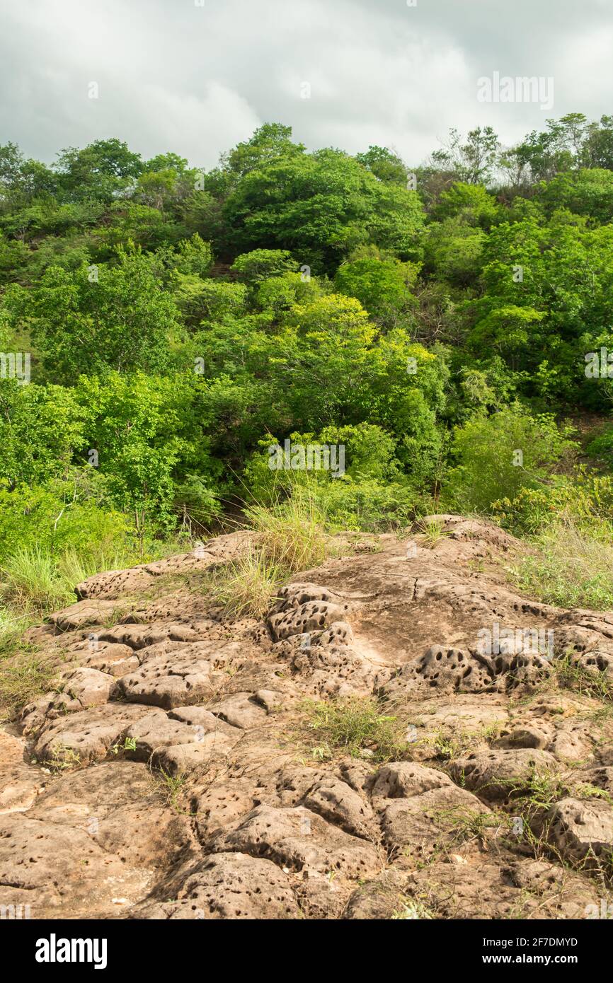 Eroded rocks and caatinga forest in the rainy season in the countryside ...