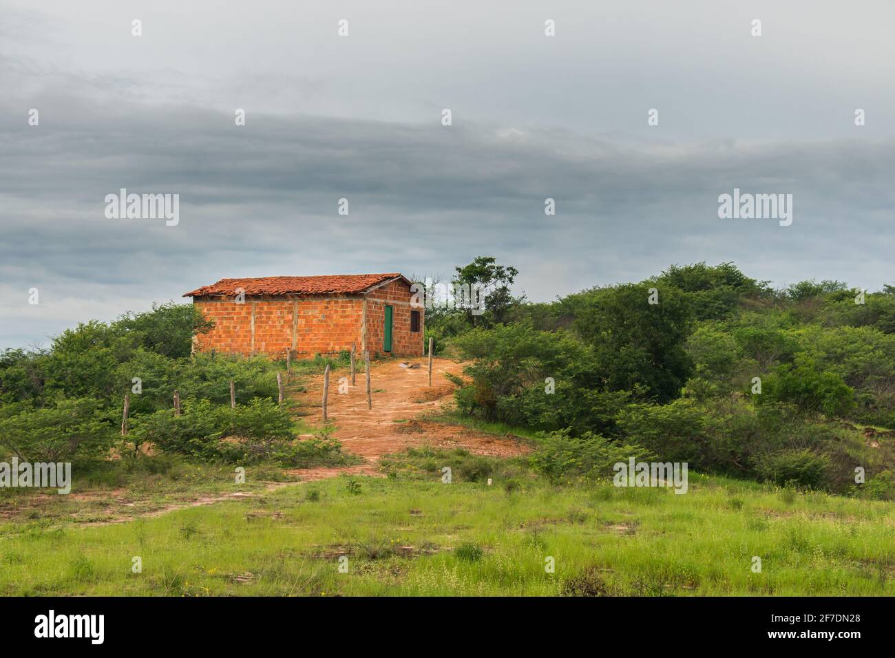 Brazil poverty countryside hi-res stock photography and images - Alamy