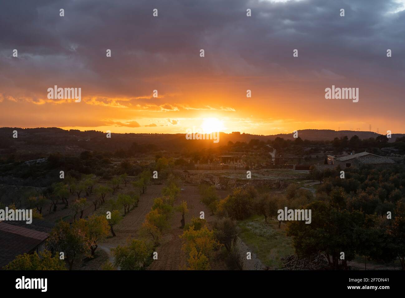 Beautiful fields landscape at sunset.Amazing sunrise in countryside ...