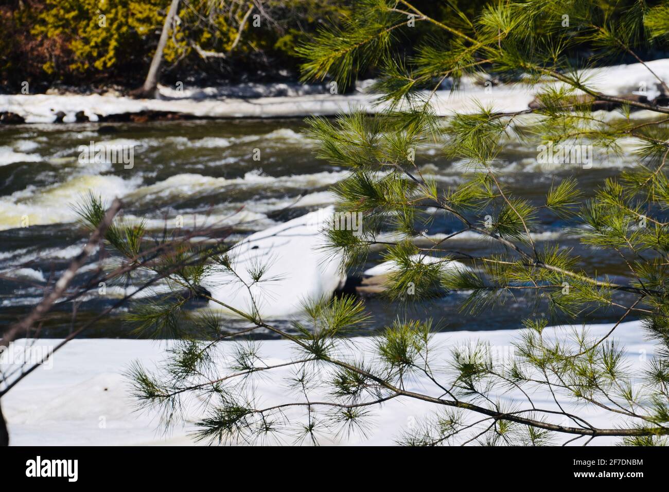 The Wilson waterfalls north of Montreal. A local favourite to escape ...