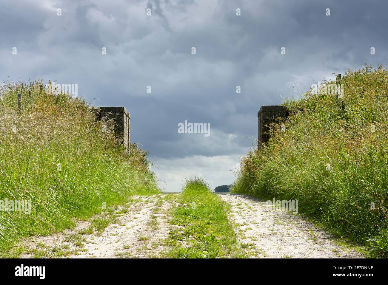 Old overgrown blue gate hi-res stock photography and images - Alamy