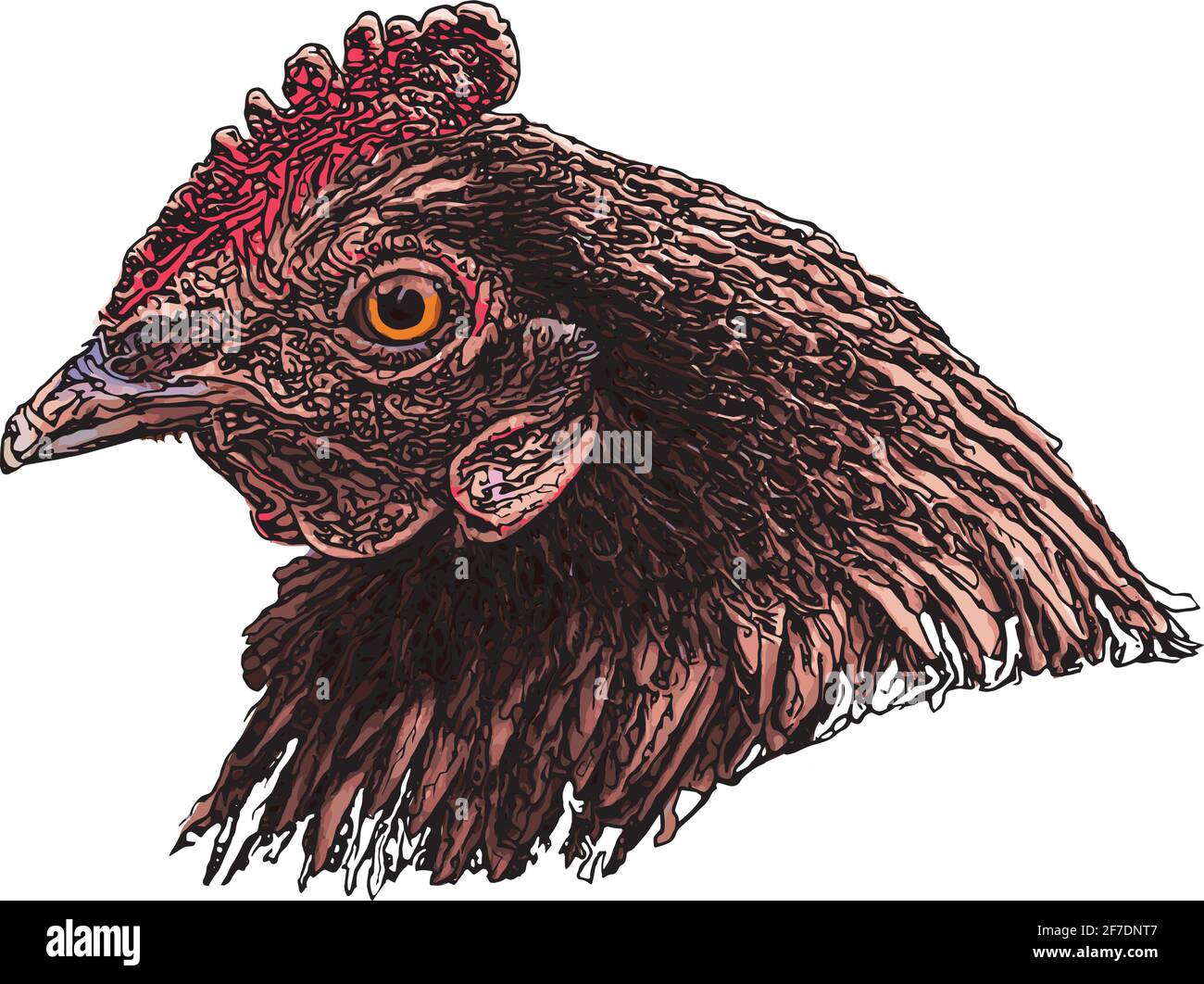 colored hen head vector illustration on white background Stock Vector ...