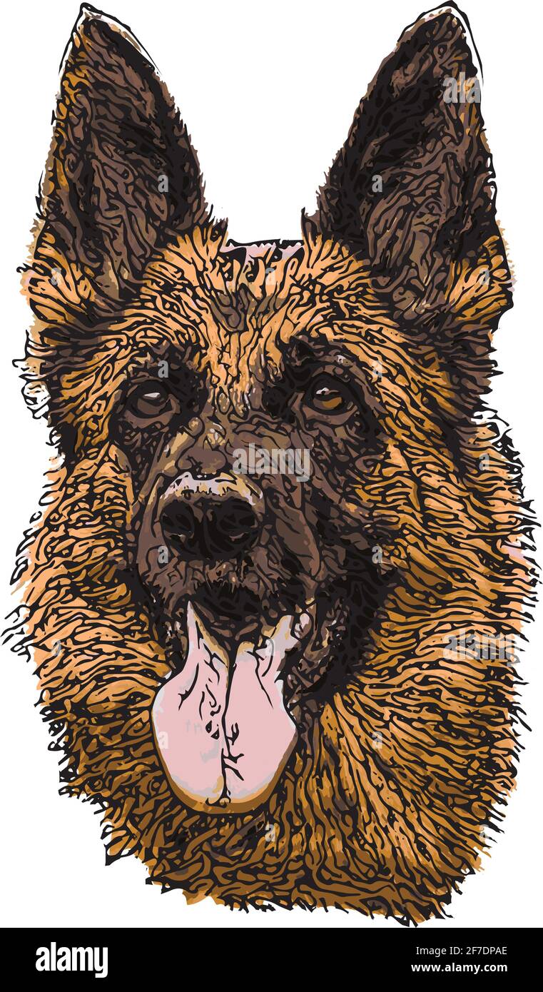 German shepherd dog vector illustration Stock Vector Image & Art - Alamy