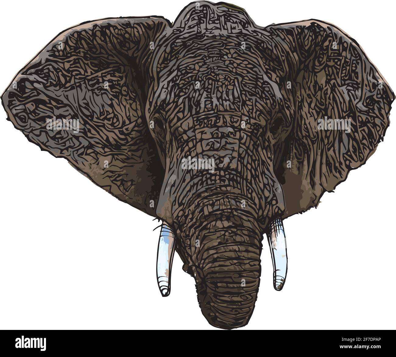 Elephant head vector hi-res stock photography and images - Alamy