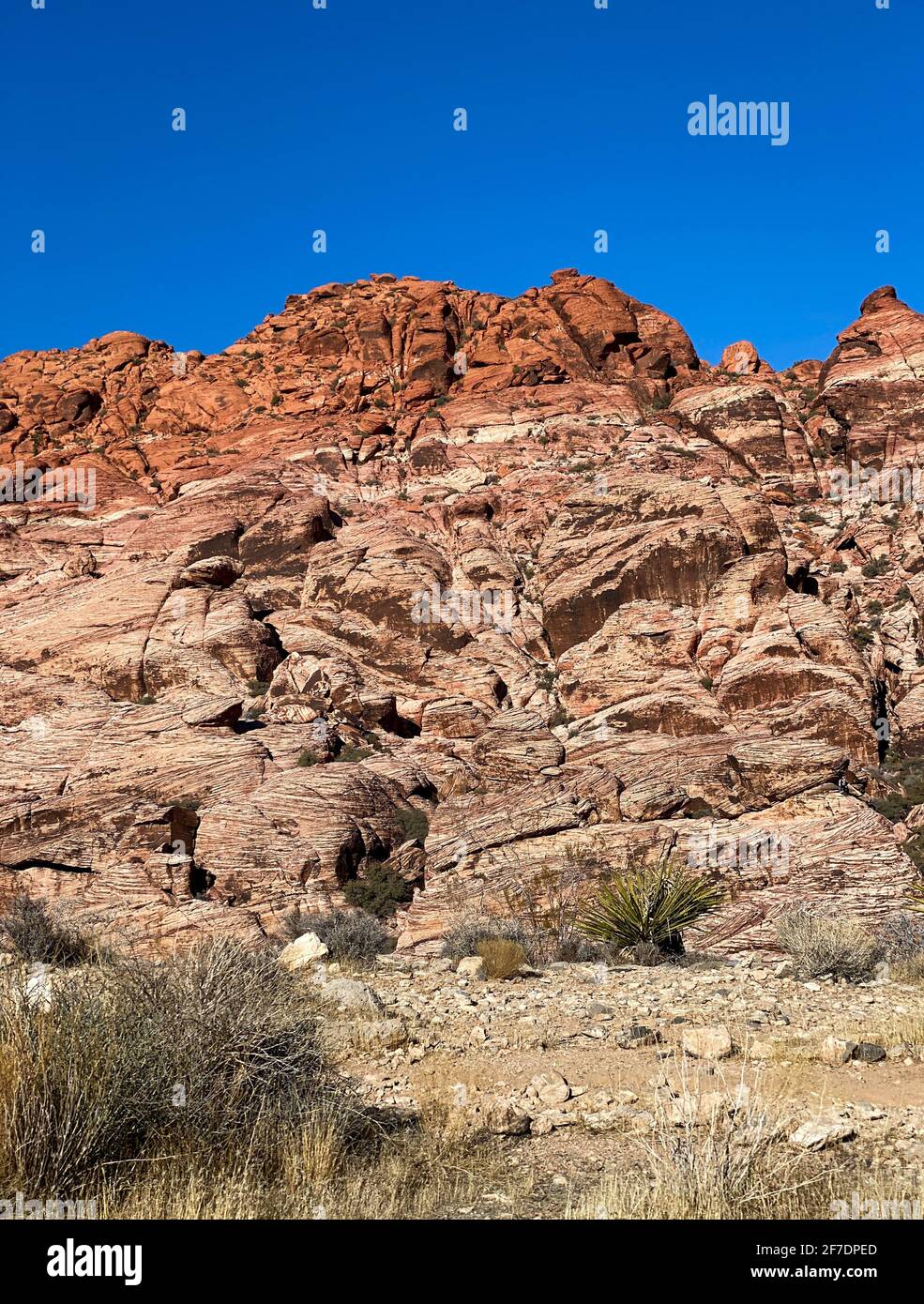 Red Rock Canyon National Conservation Area lies in Nevada’s Mojave ...