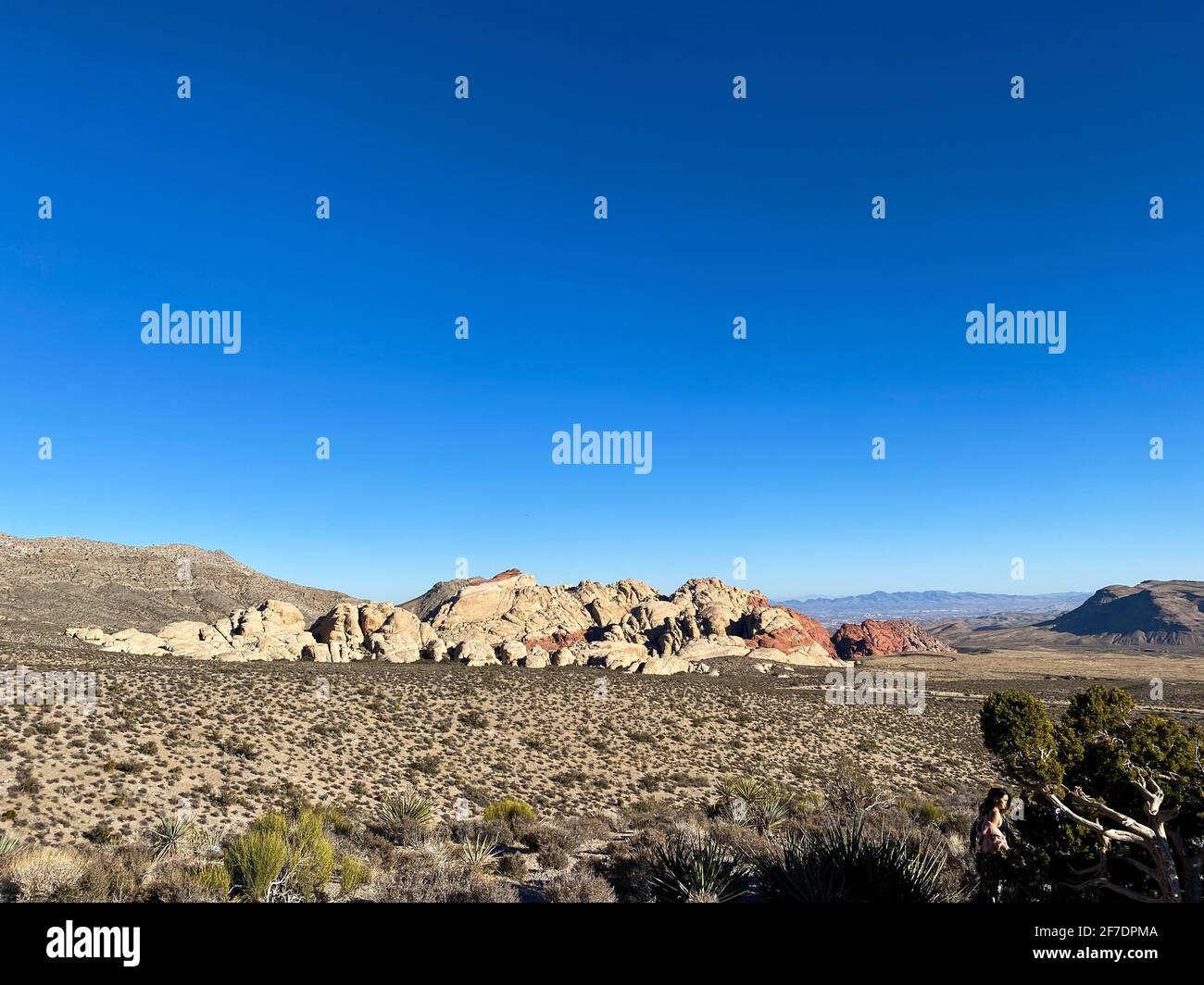 Red Rock Canyon National Conservation Area lies in Nevada’s Mojave ...