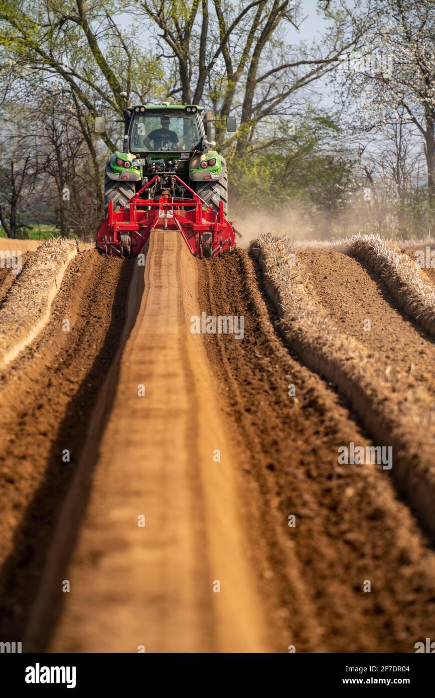 Asparagus ridge milling hi-res stock photography and images - Alamy