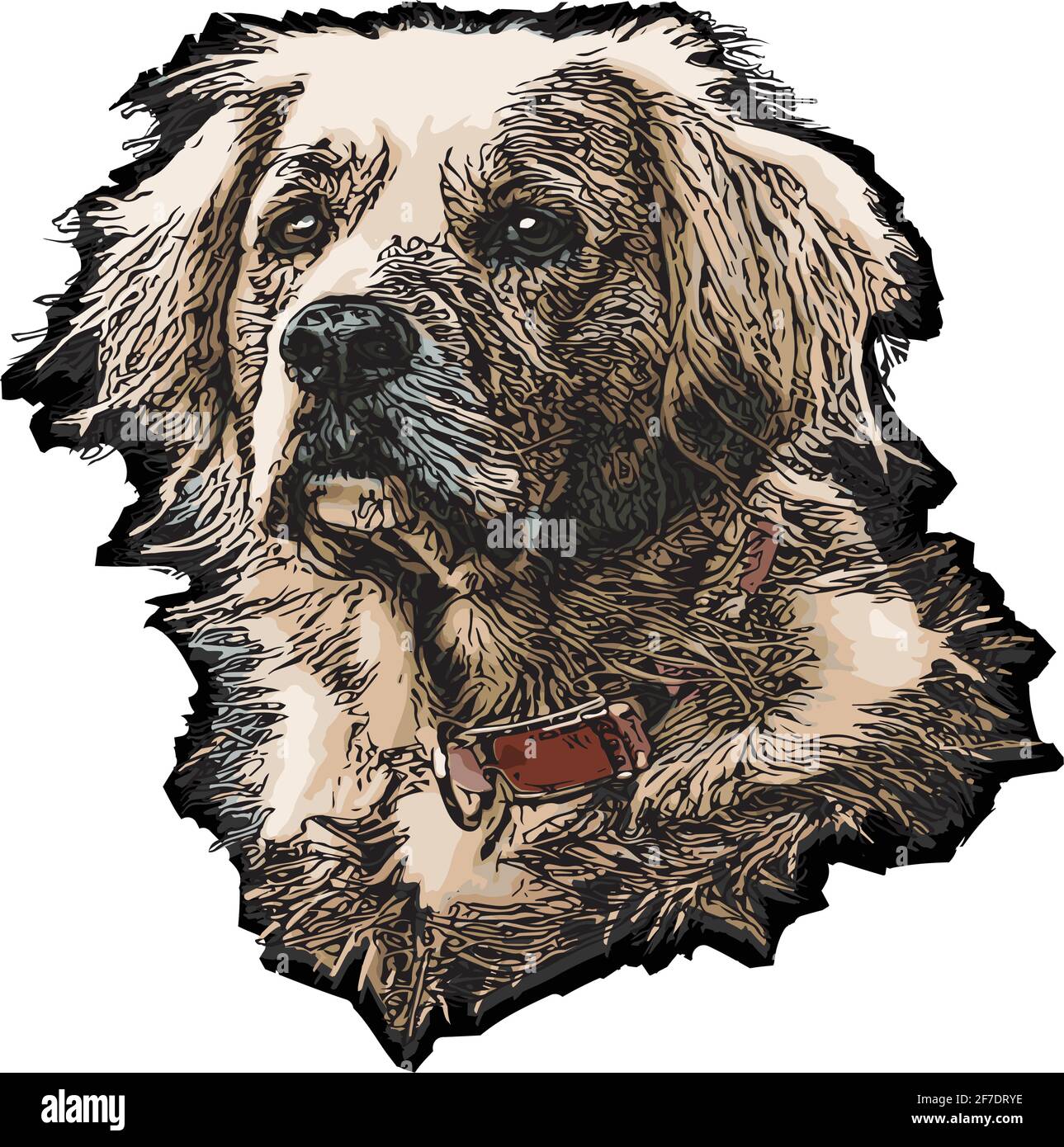 Golden retriever puppy on white Stock Vector Images - Alamy