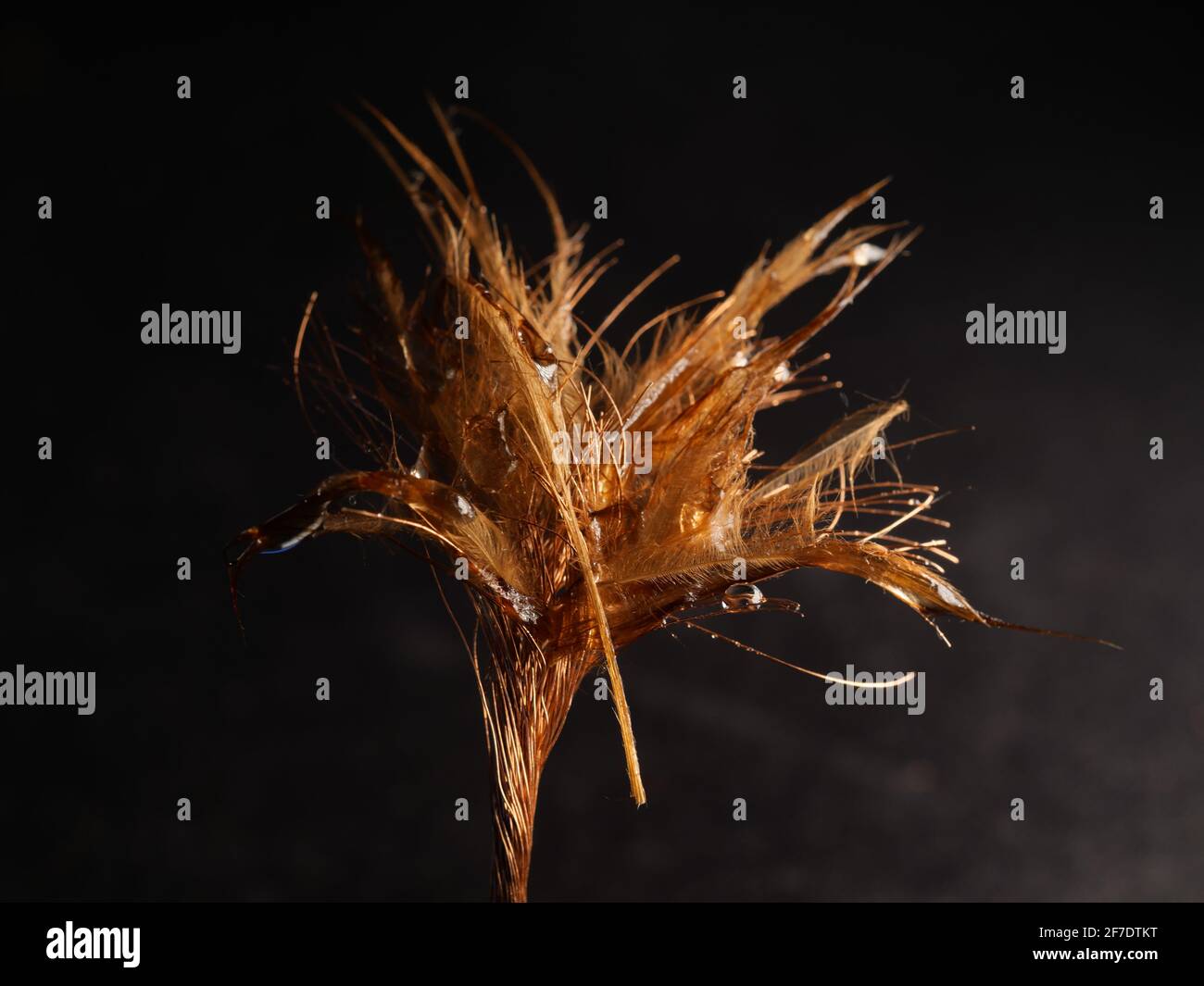 Abstract Macro Photography droplets, glass and metal Stock Photo - Alamy