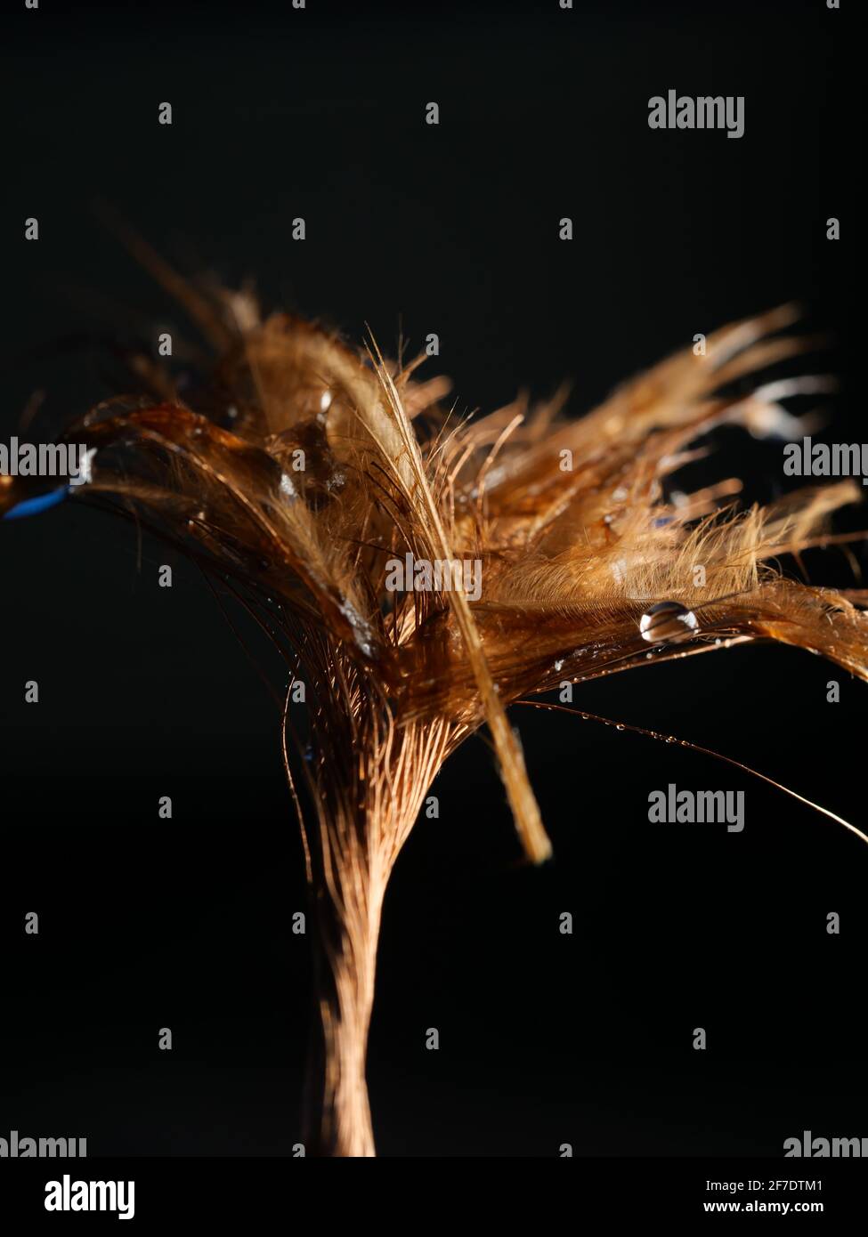 Abstract Macro Photography droplets, glass and metal Stock Photo - Alamy