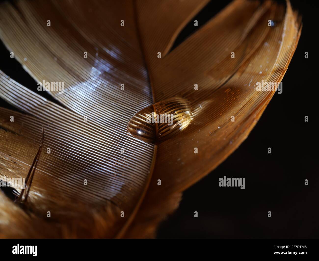 Abstract Macro Photography droplets, glass and metal Stock Photo - Alamy