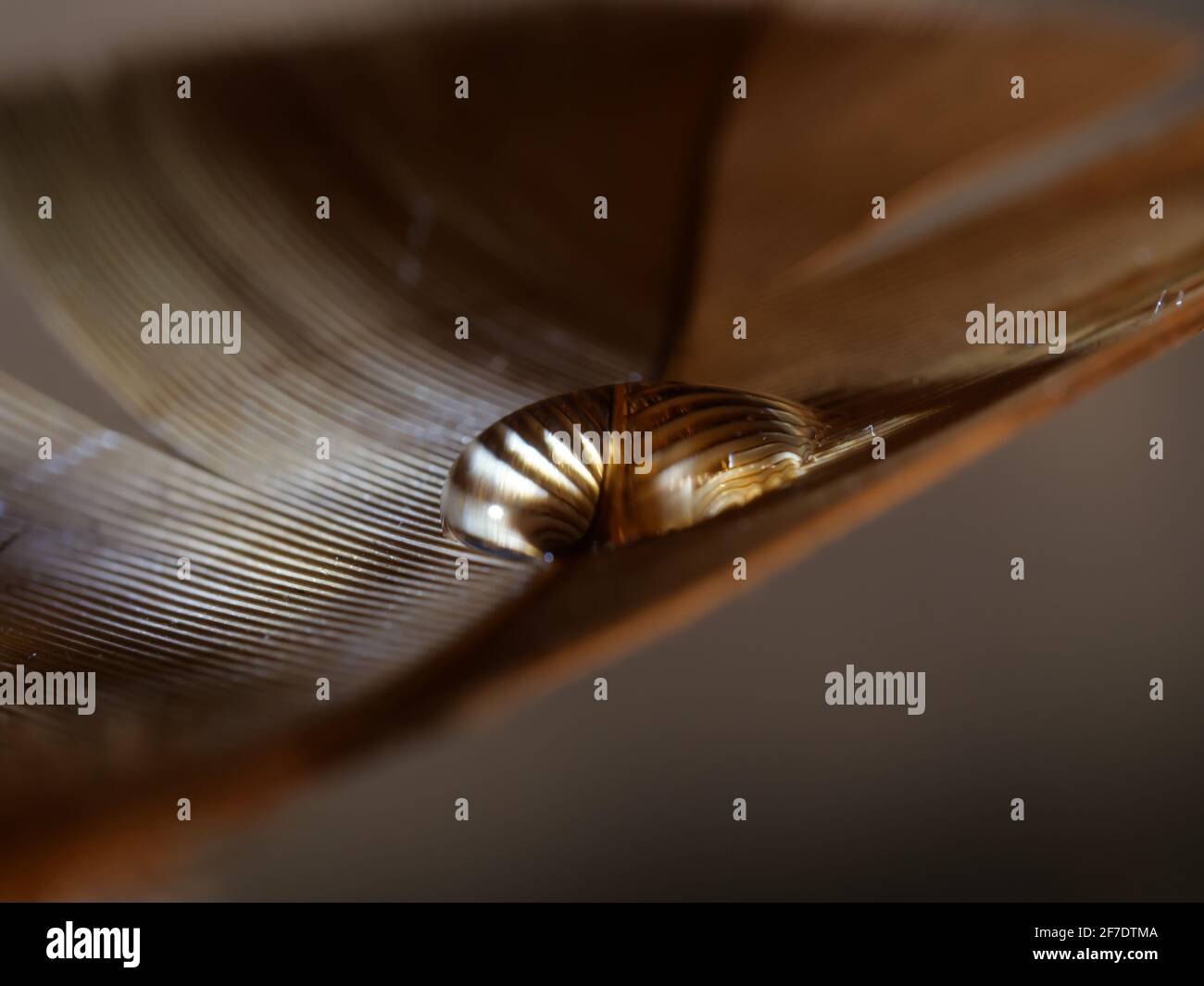 Abstract Macro Photography droplets, glass and metal Stock Photo - Alamy