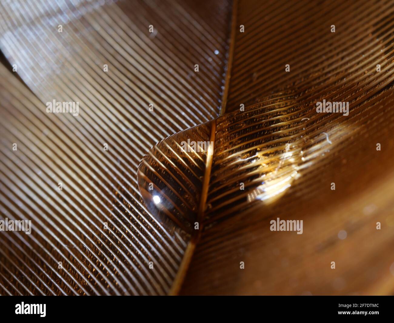 Abstract Macro Photography droplets, glass and metal Stock Photo - Alamy