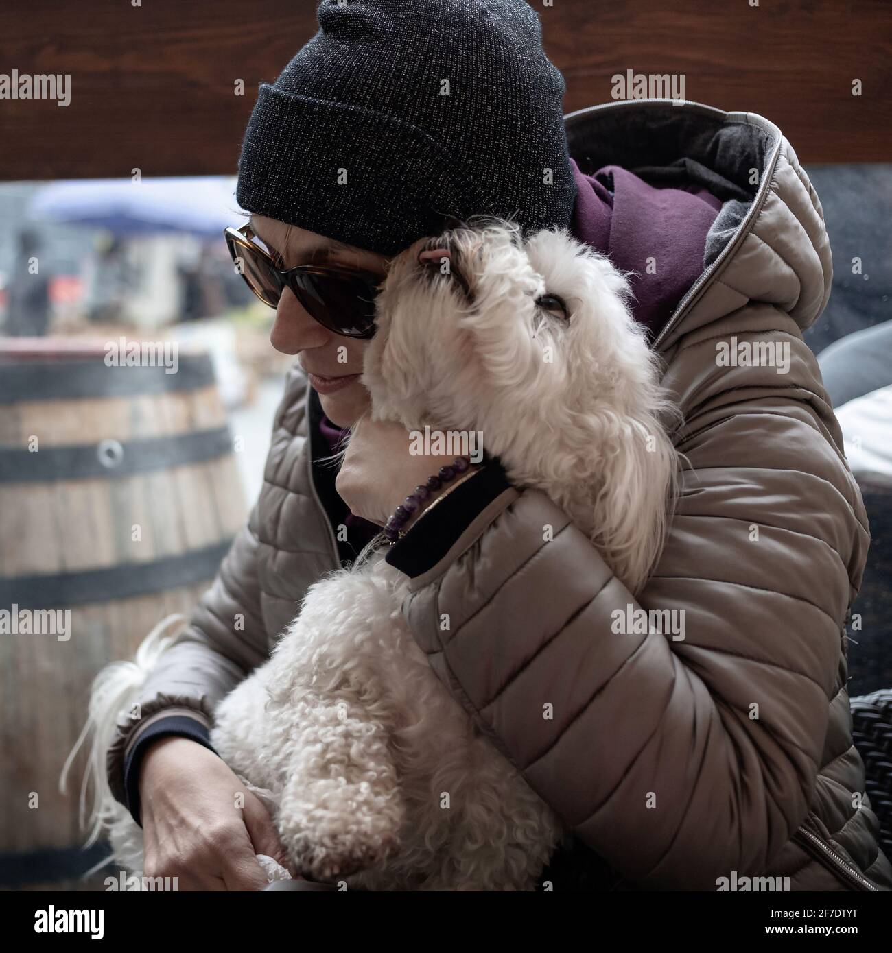 Animal hugging candid hi-res stock photography and images - Alamy