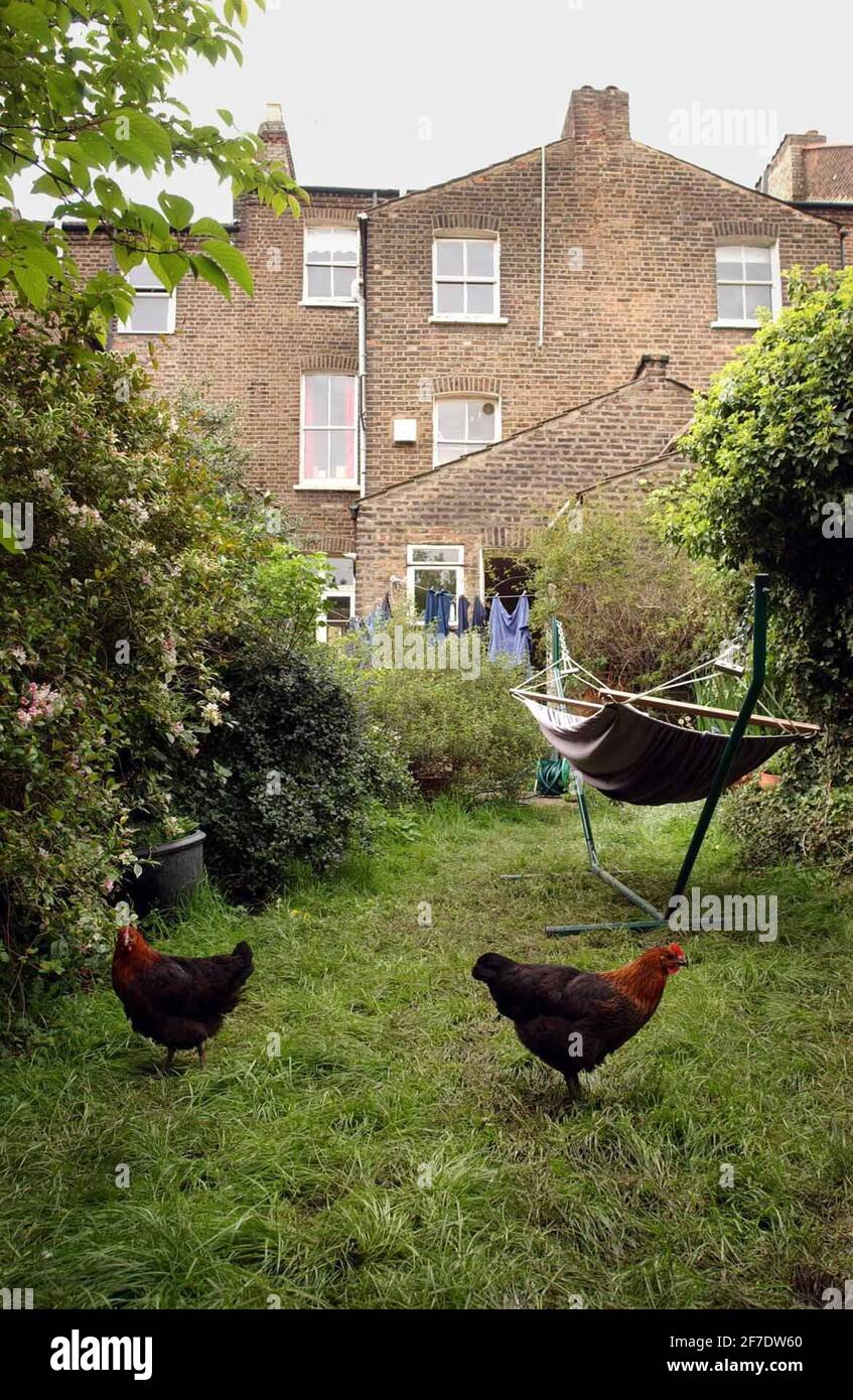 Deborah ross hi-res stock photography and images - Alamy