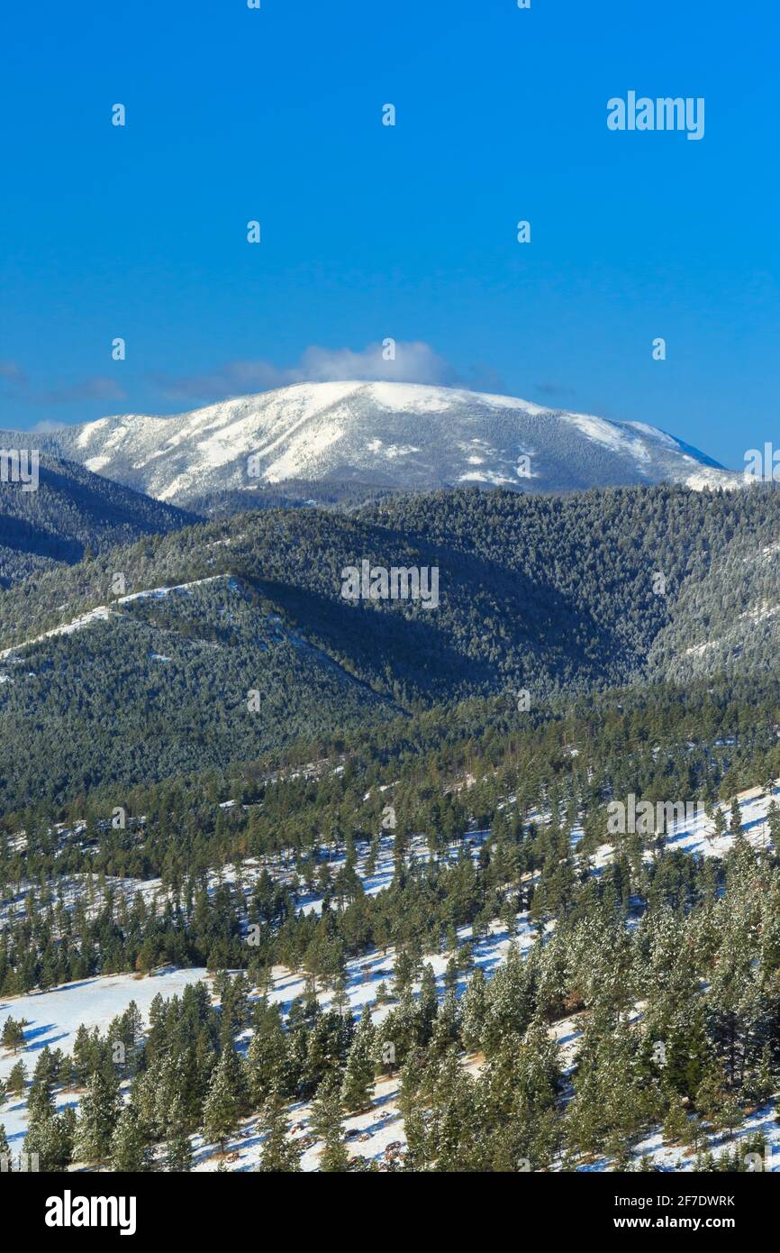 red mountain in helena national forest viewed from mount helena city ...