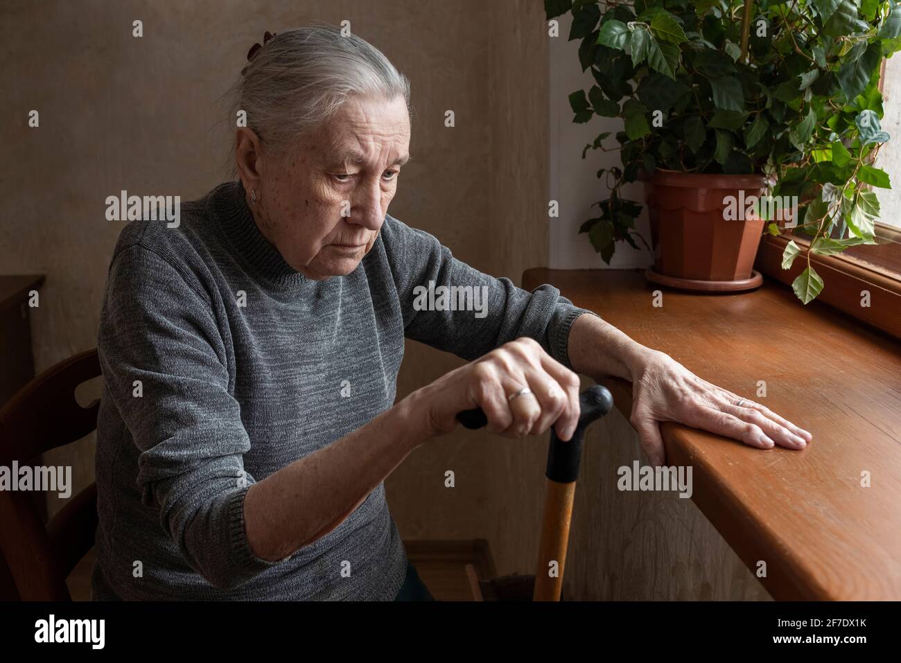Portrait of a sad lonely old woman, sitting at home by the window. Old ...