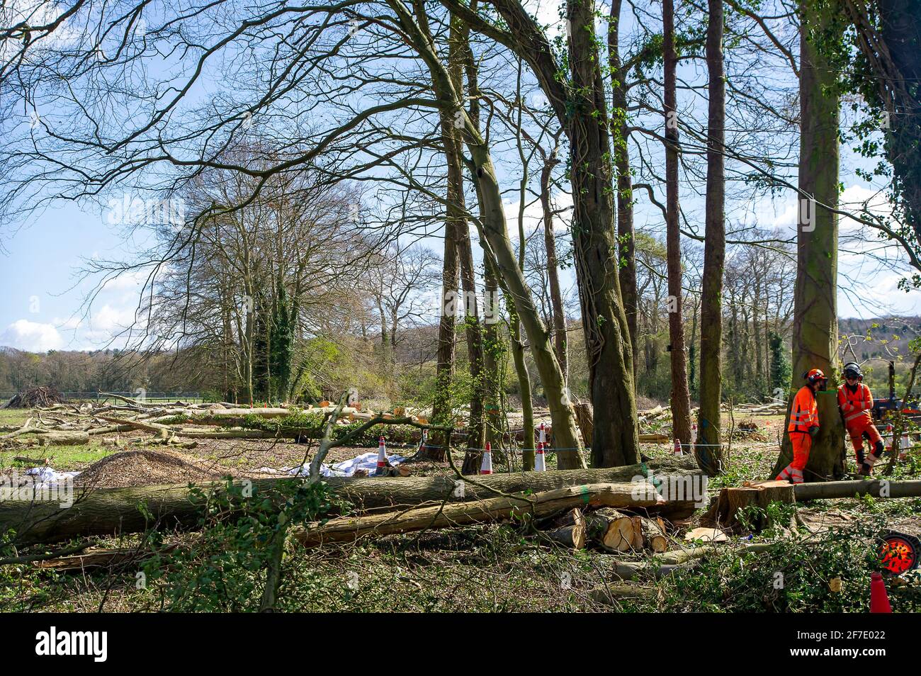 Aylesbury Vale, UK. 6th April, 2021. Tree fellers wait to get their ...