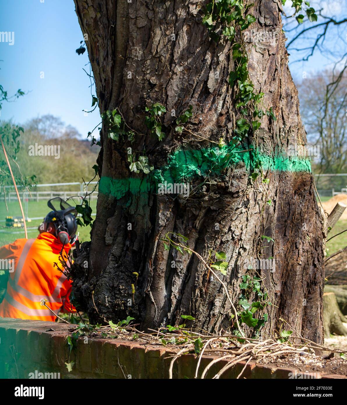 Hs2 harrassment hi-res stock photography and images - Alamy