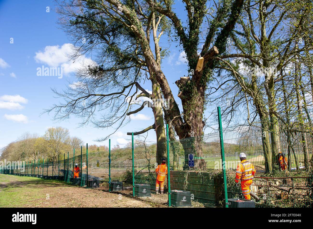 Aylesbury Vale, UK. 6th April, 2021. A tree feller was up high in the ...