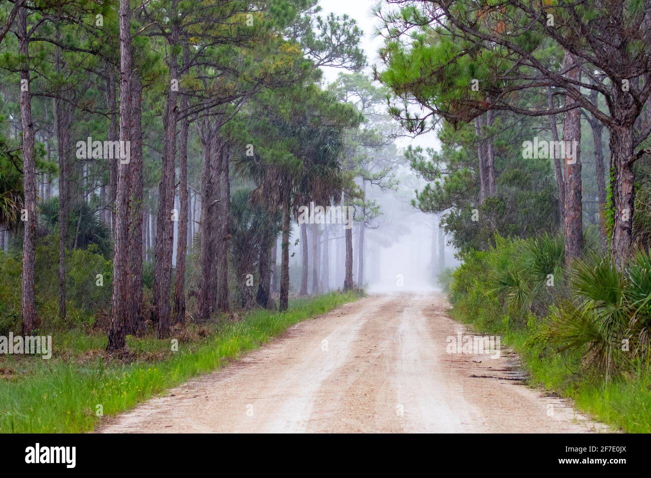 Rain front coming toward the camera Stock Photo - Alamy