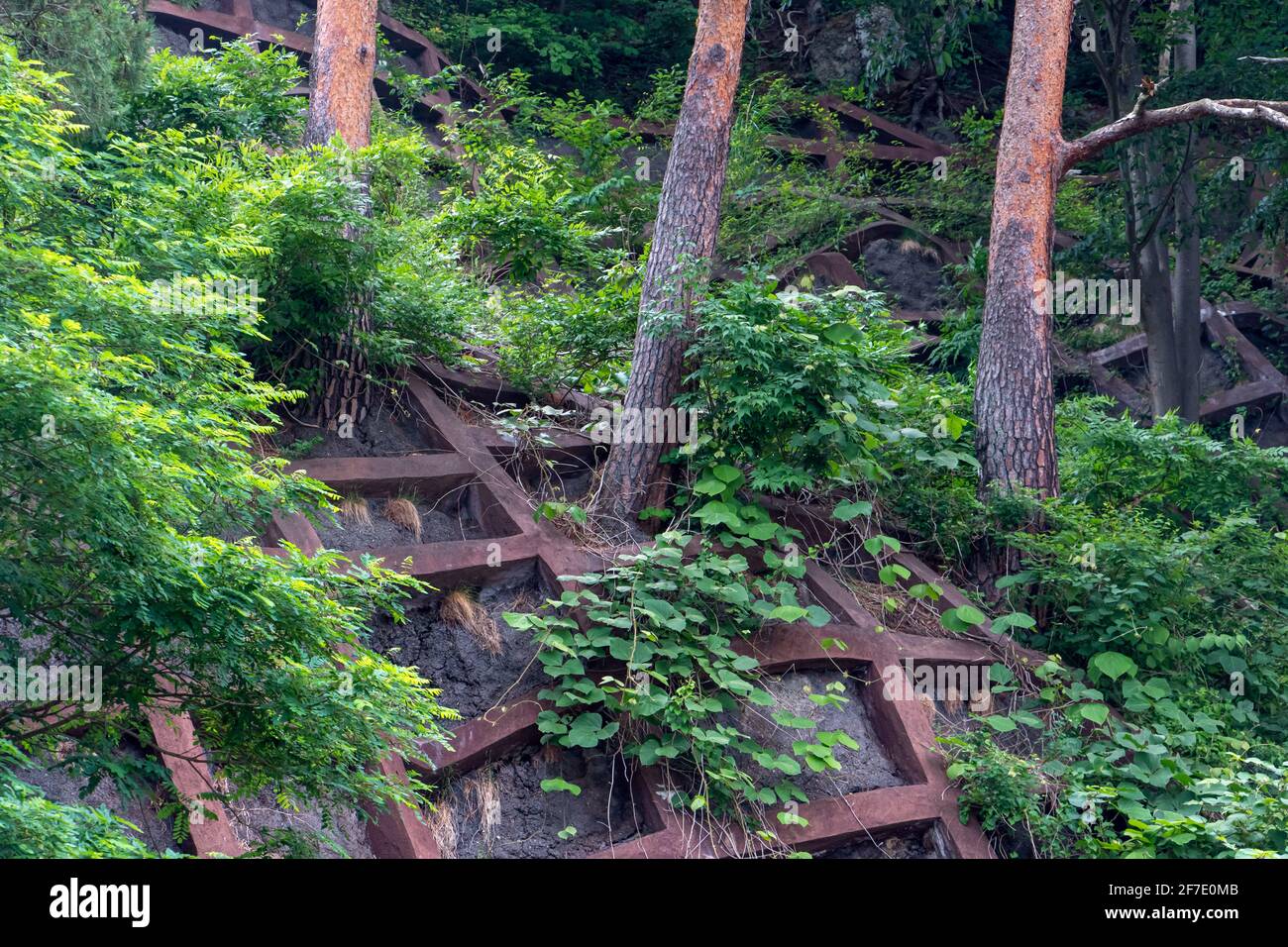 Stabilizing concrete grid in forest over road, Japan Stock Photo - Alamy