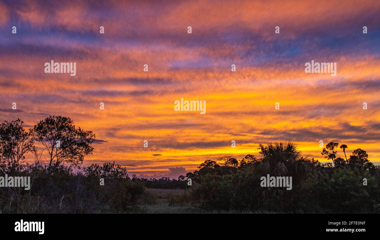 Everglades sunset photo hi-res stock photography and images - Alamy