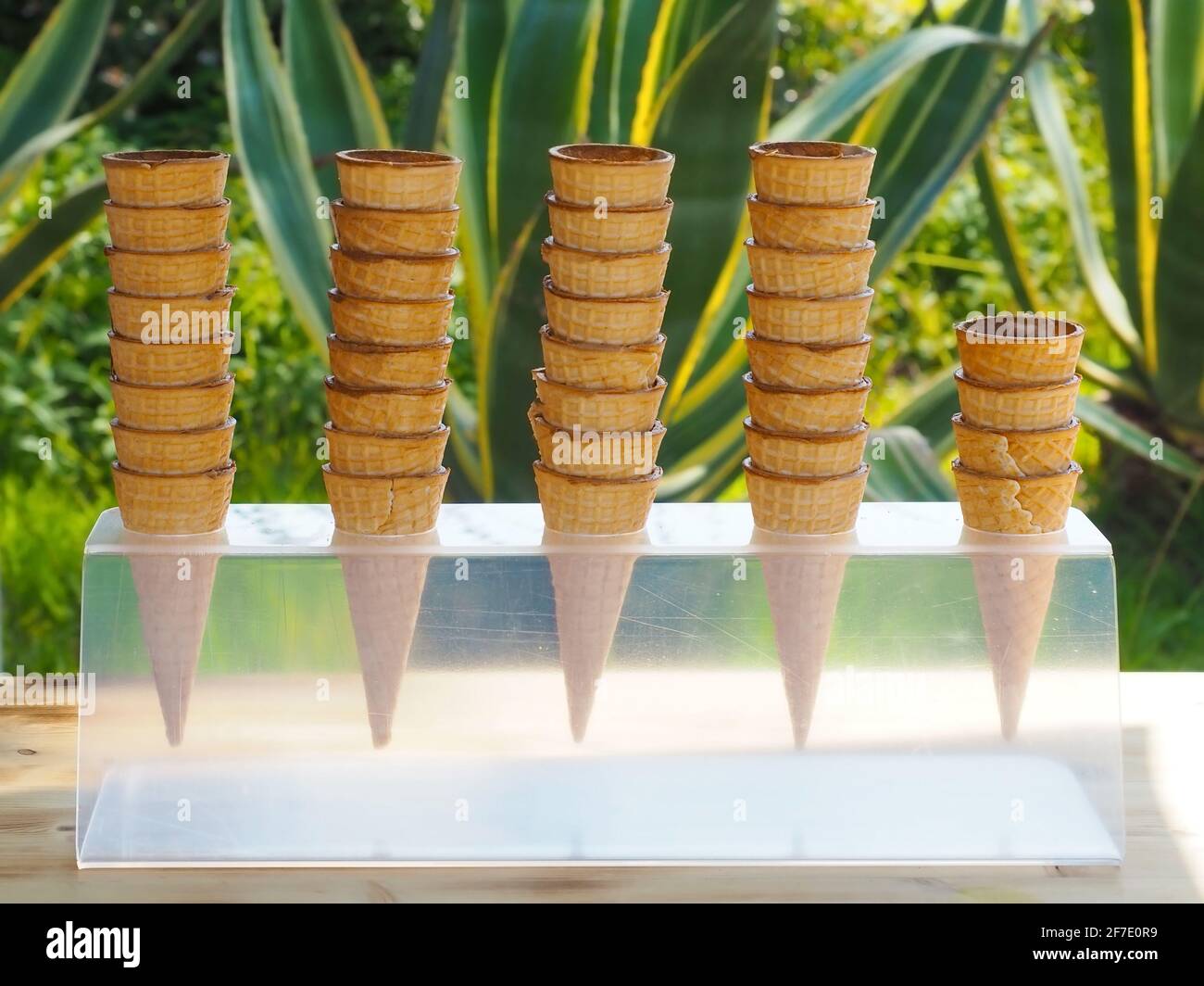 Other portion of plant hi-res stock photography and images - Alamy