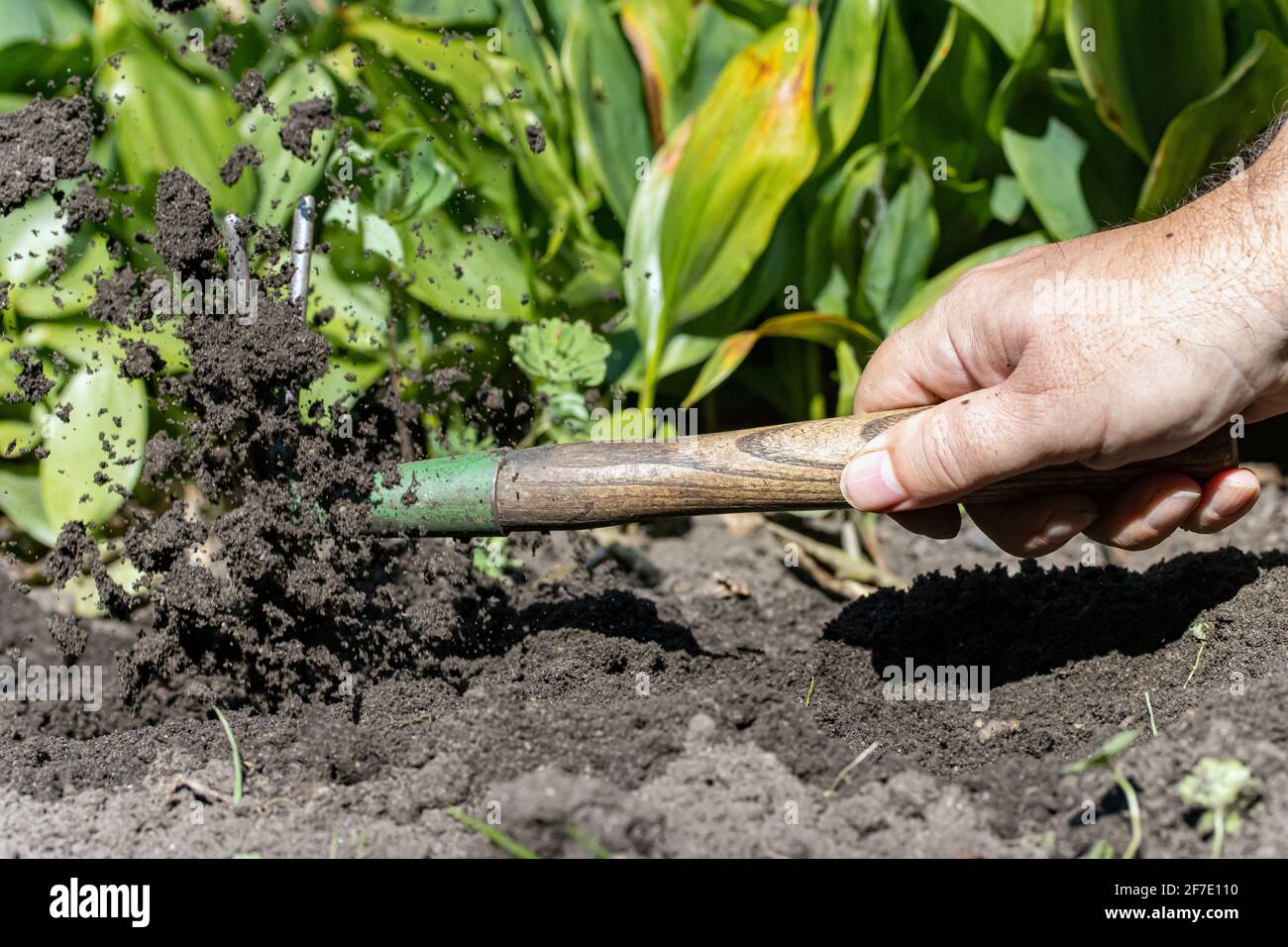 Gardener digging close up hi-res stock photography and images - Alamy