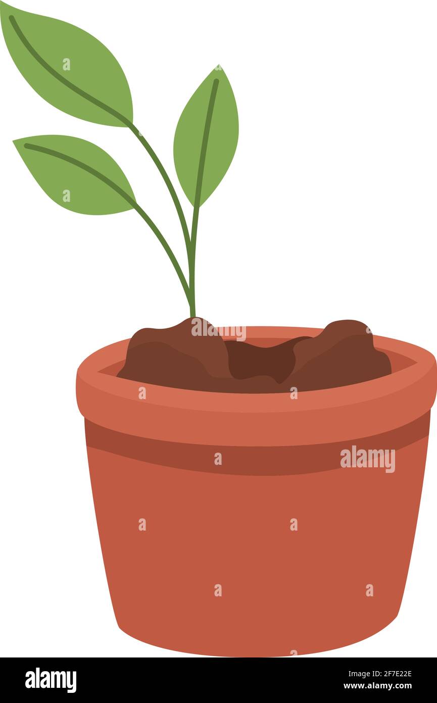 sprout in pot Stock Vector Image & Art - Alamy