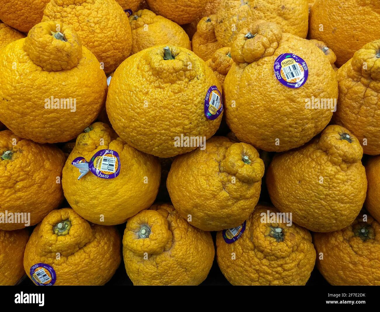 Sumo Citrus oranges are seen in the produce department of a supermarket ...
