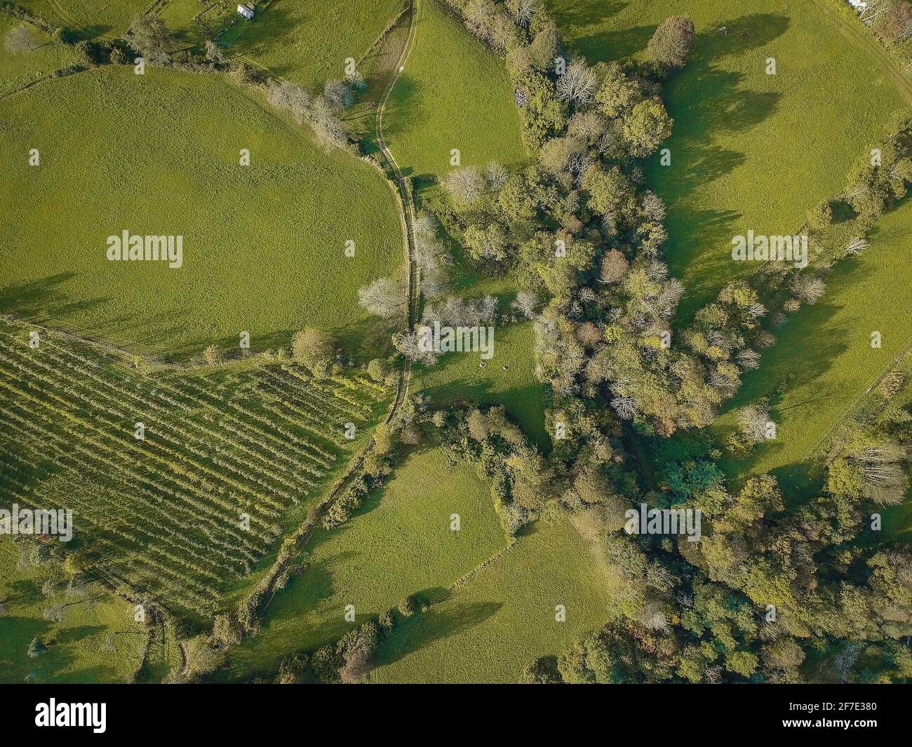 Aerial top down nature patterns hi-res stock photography and images - Alamy