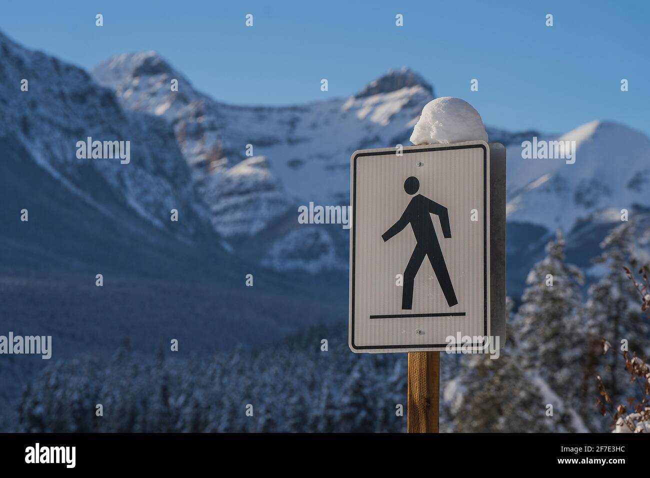 Pedestrian crossing sign in Canada. White board or pictogram with ...