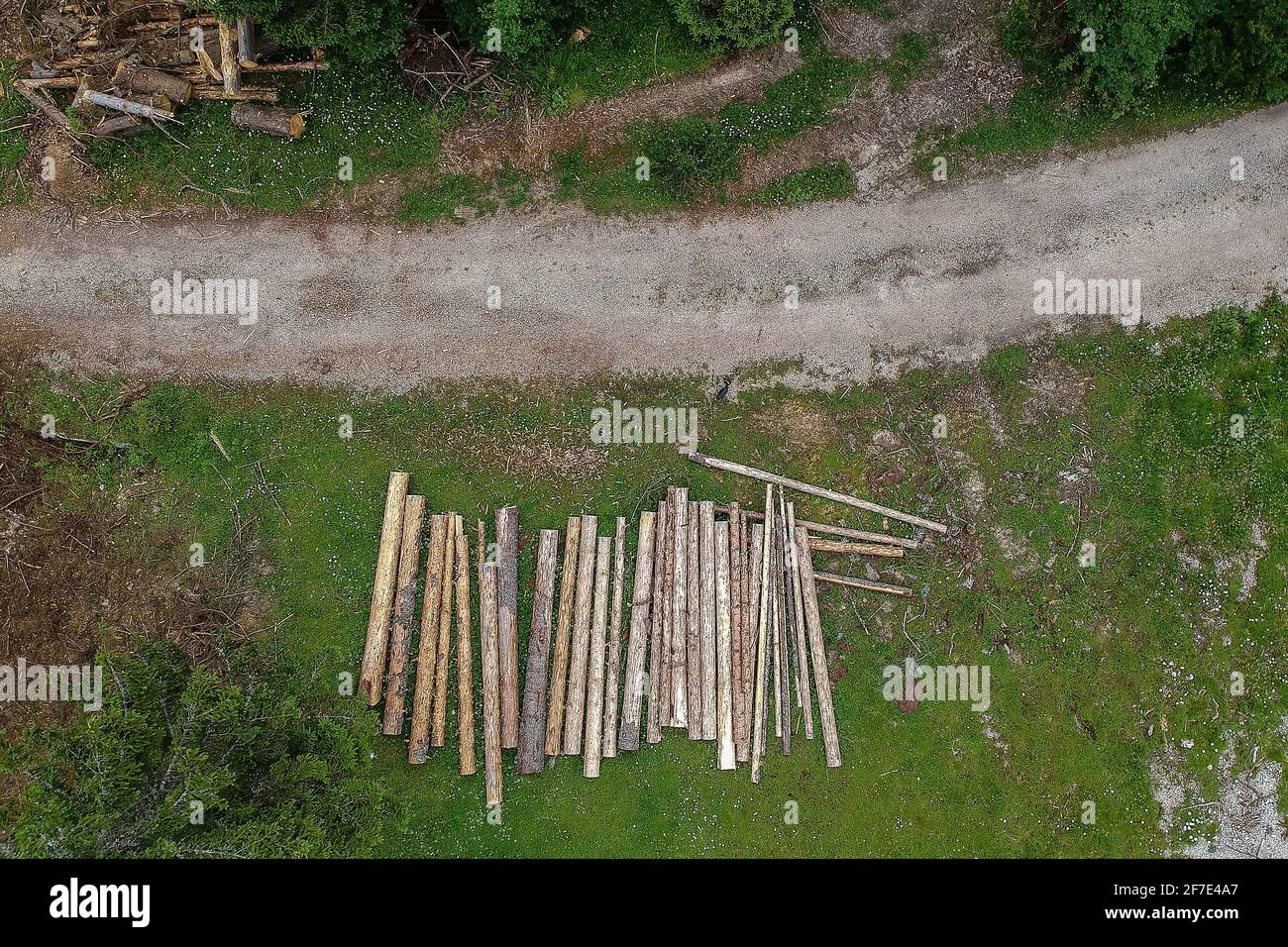 Log pile accident hi-res stock photography and images - Alamy