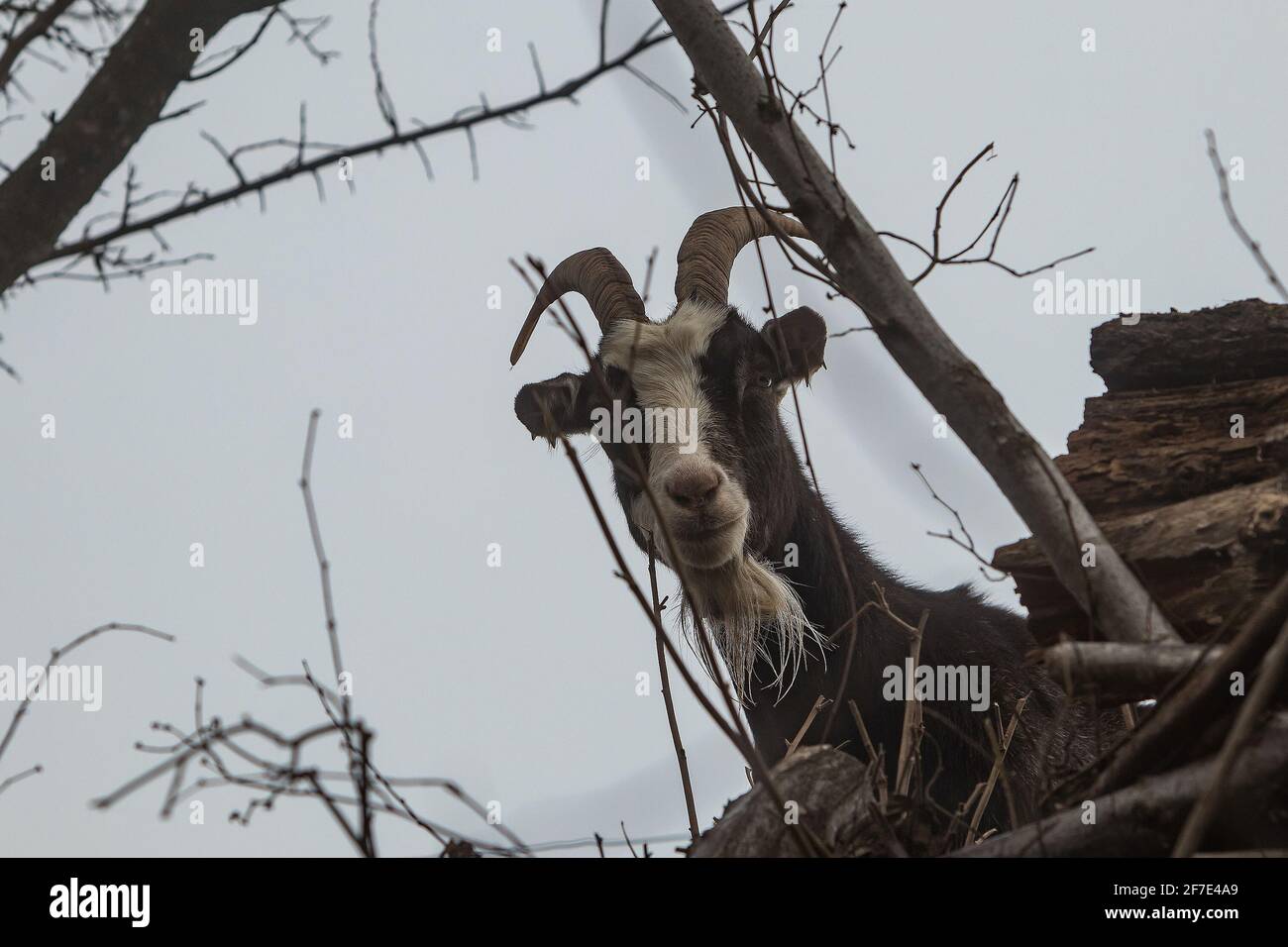 Dull face hi-res stock photography and images - Alamy