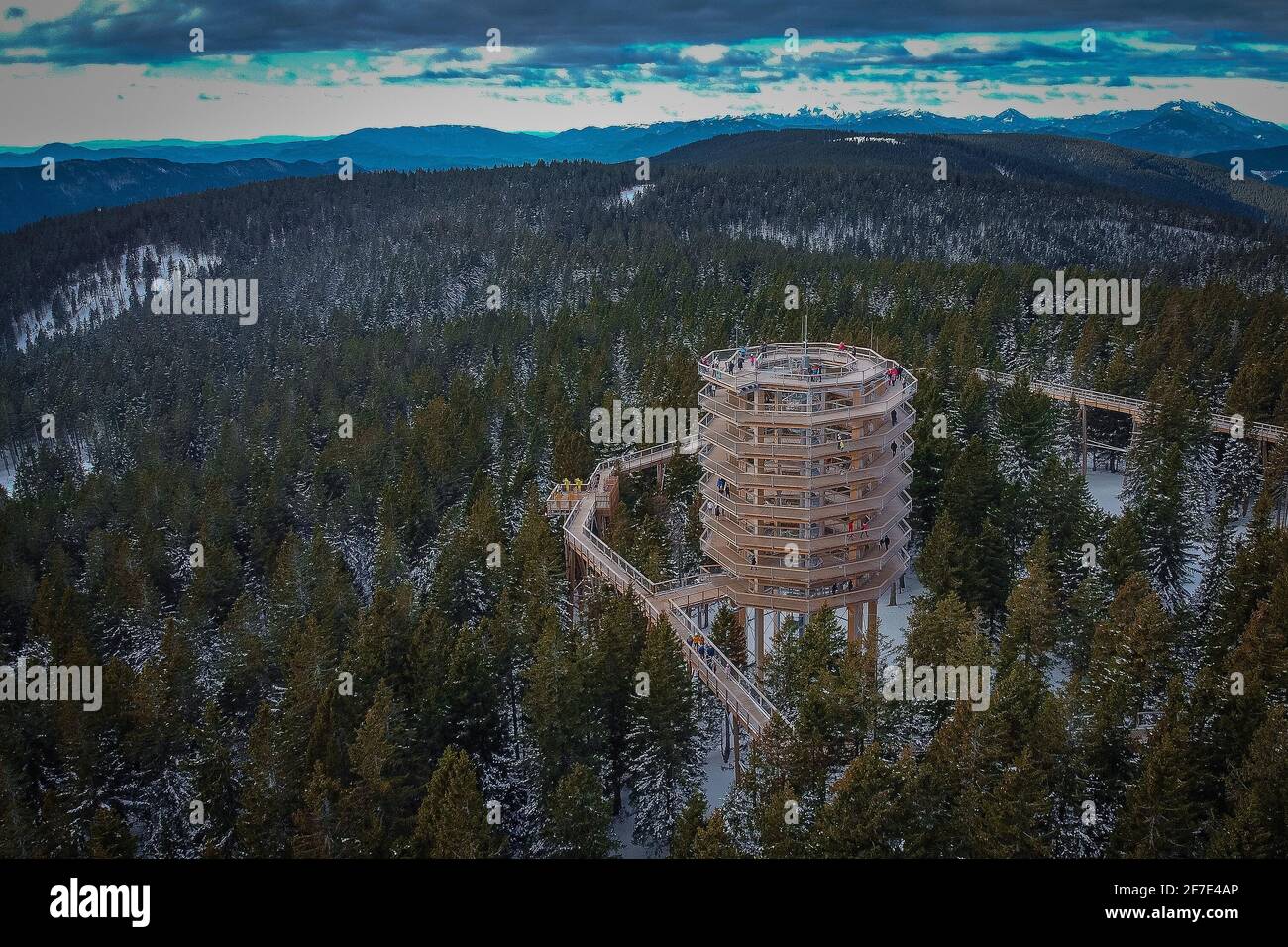 Aerial view of a forest canopy tower and walkway, also footpath above ...