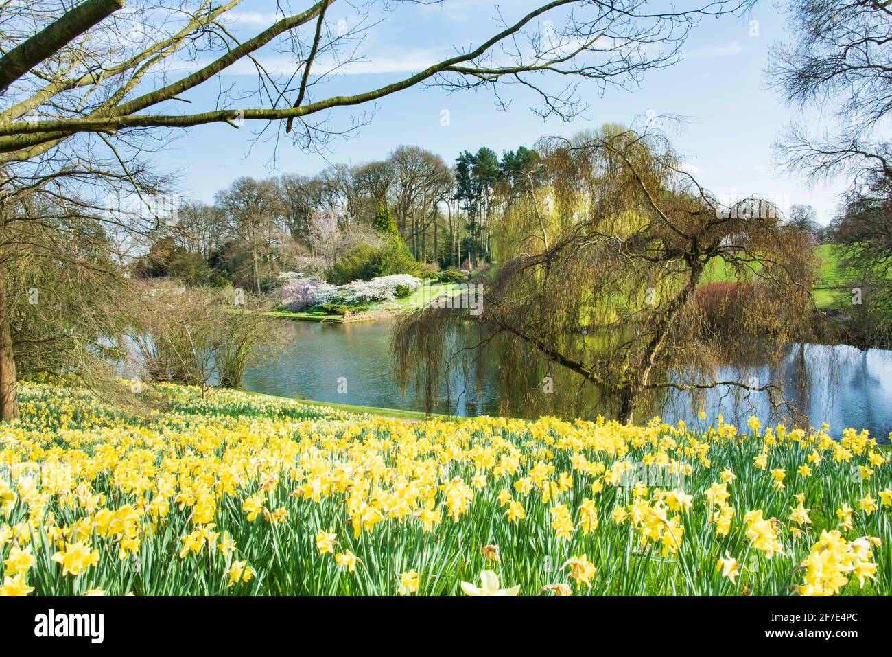 Hodnet shropshire england hi-res stock photography and images - Alamy