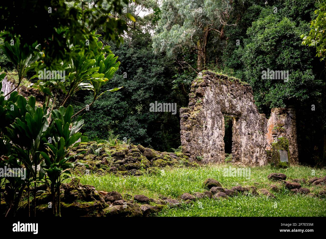 Ruins preserved over time in the rainforest of O'ahu, Hawai'i Stock ...